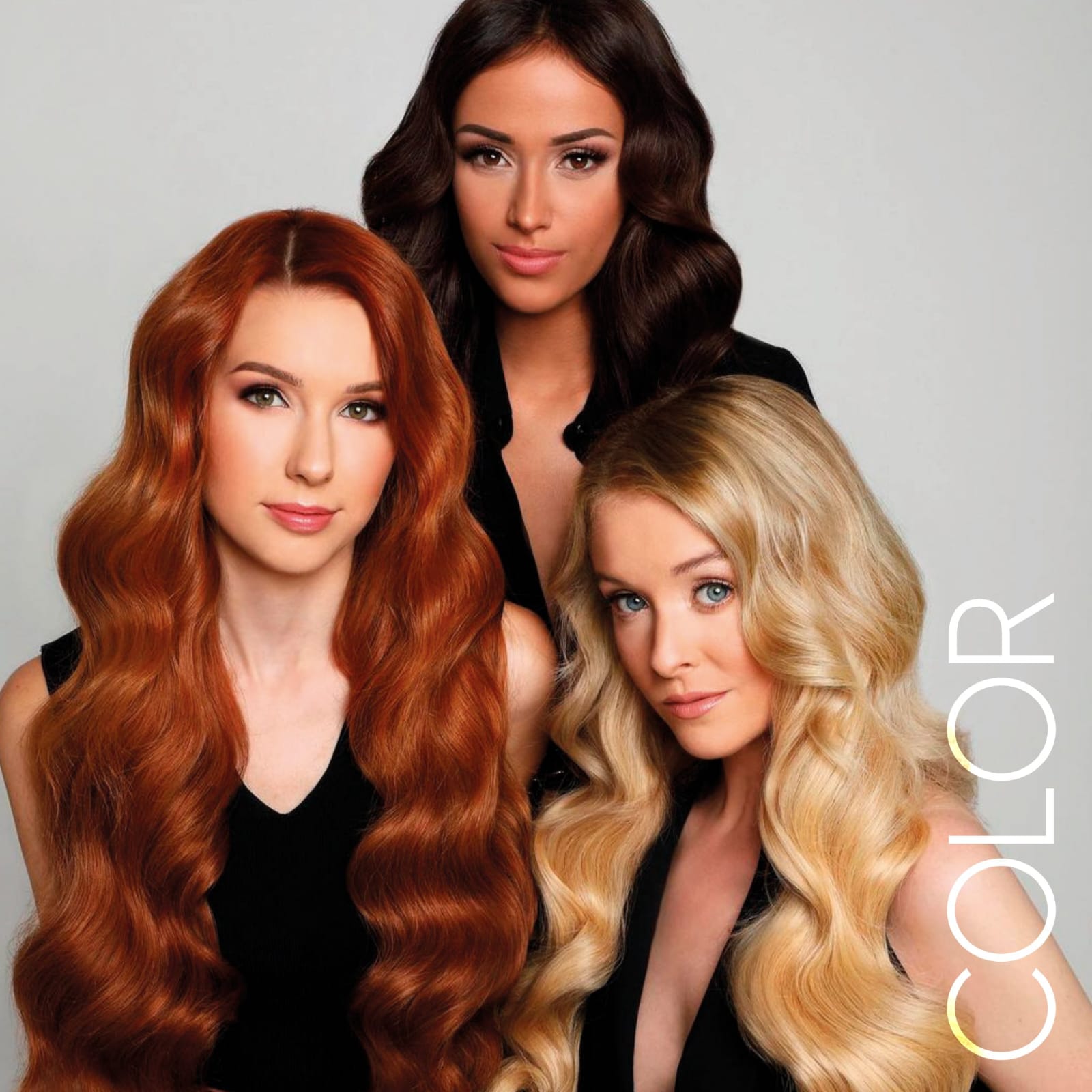 LINEA COLOR – Brazil Cocoa